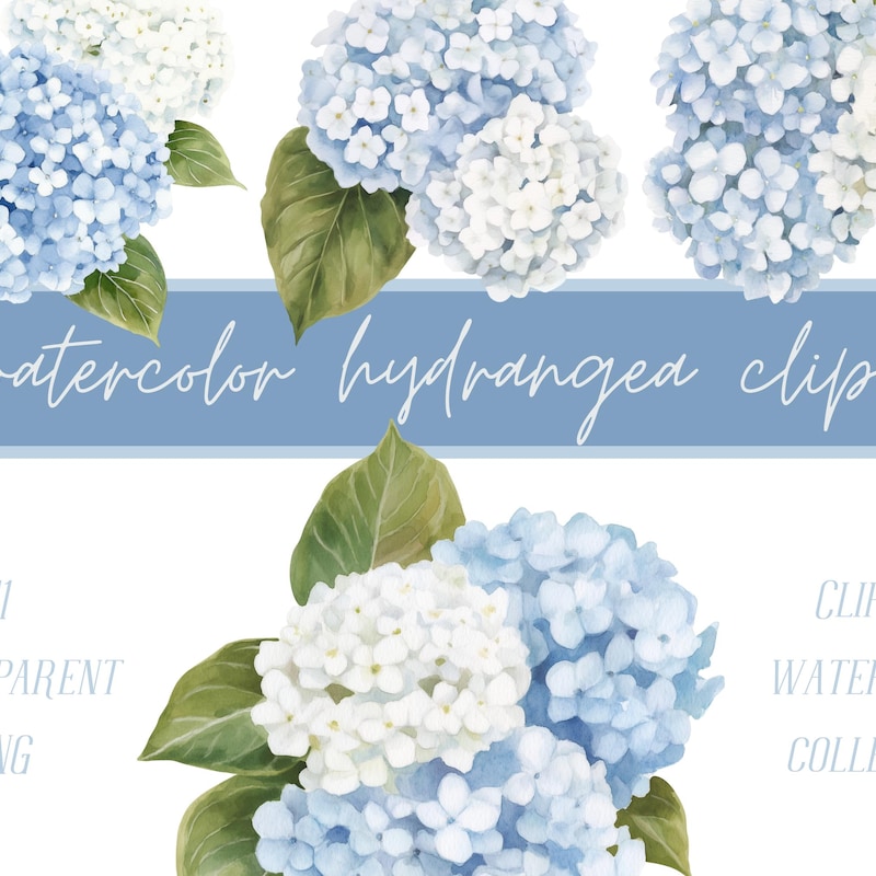 Wedding Vellum Hydrangea - Etsy