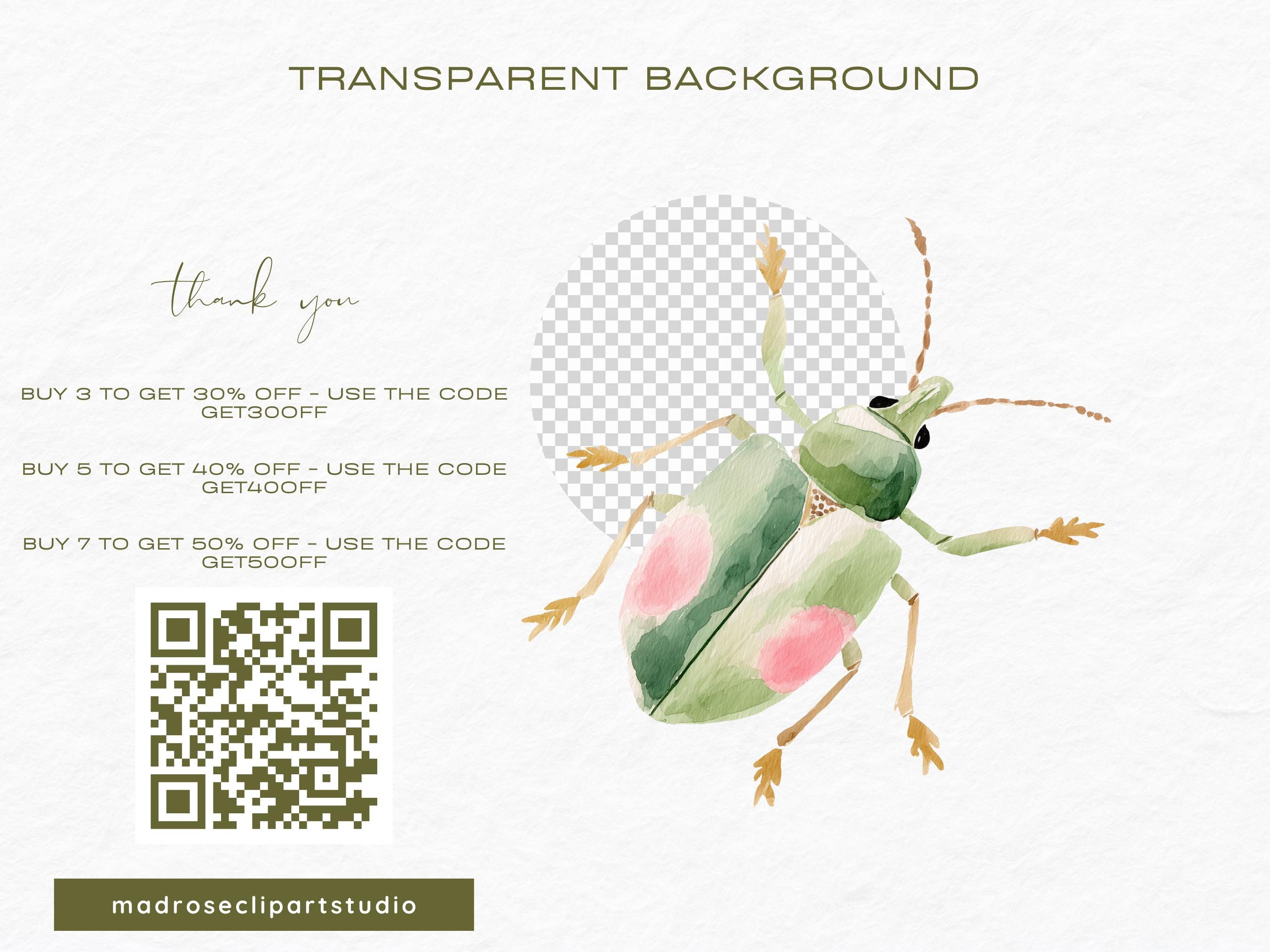 Watercolor Cute Insect Clipart, Cute Little Love Bugs Clipart, Insects ...