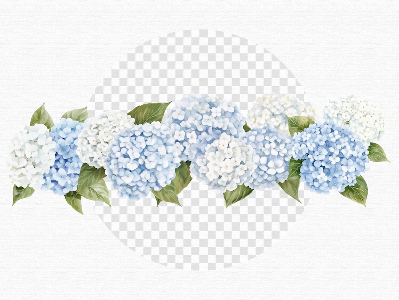 Watercolor Blue Hydrangea Flower Clipart - Hydrangea Clip Art ...