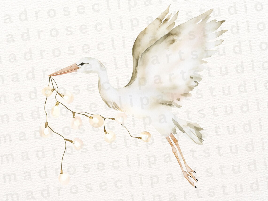 Watercolor Christmas Stork Clipart, Stork PNG, Christmas Clipart, Stork ...