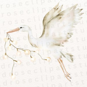 Watercolor Christmas Stork Clipart, Stork PNG, Christmas Clipart, Stork ...
