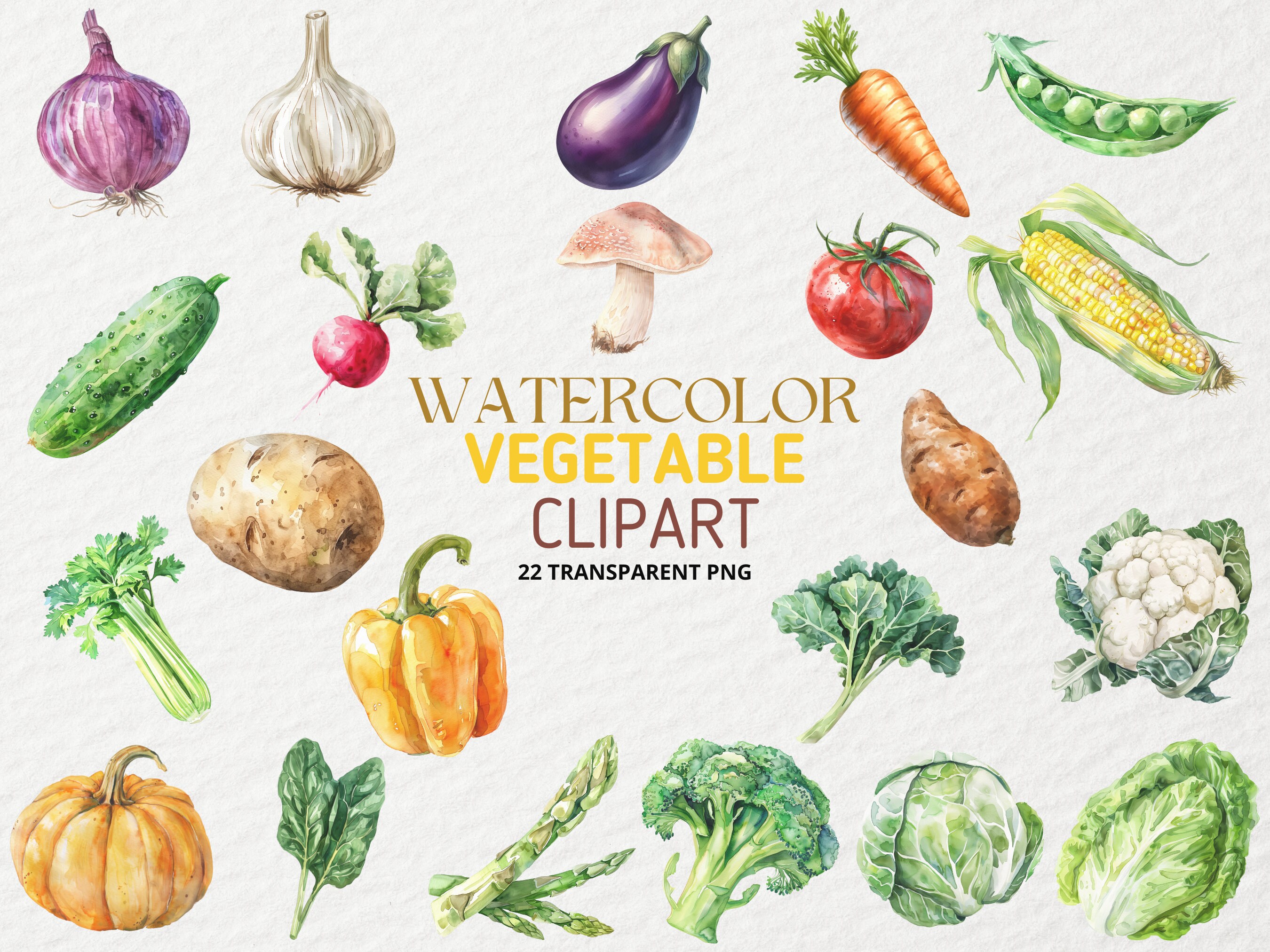 Watercolor Vegetable Clipart - Veggie Clipart - Watercolor Veggie PNG ...