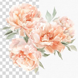 Watercolor Peony Clipart Bundle, Elegant Flower, Wedding Boquet Clipart ...