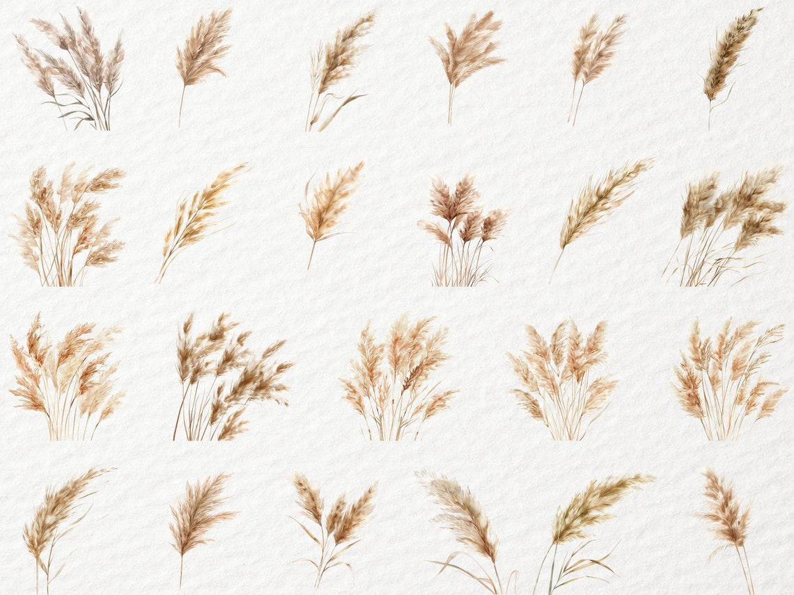 Watercolor Pampas Grass Clipart - Bohemian Clipart - Planner Stickers ...