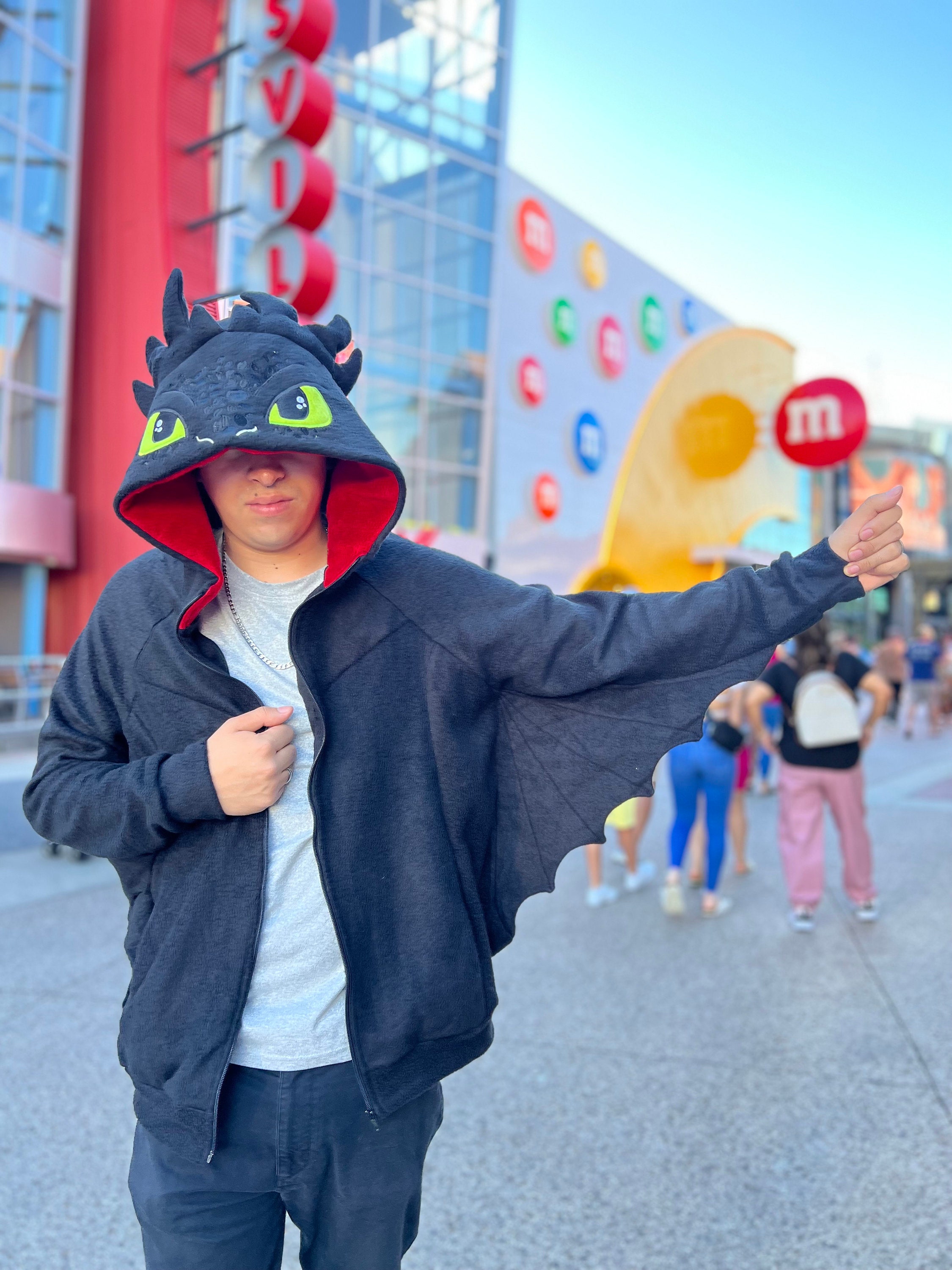 Toothless Night Fury Hoodie Unisex Black , Hoodie Toothless Gift for ...