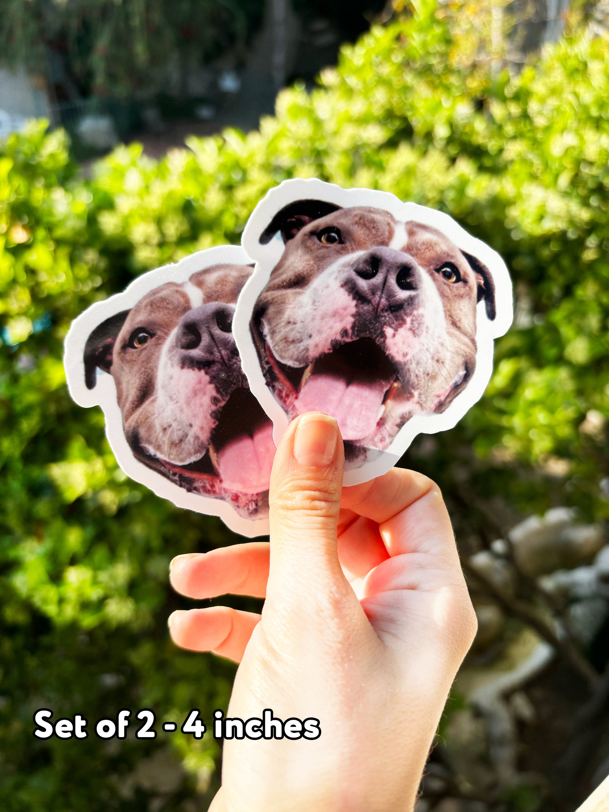 Personalized Pet, Custom Photo Stickers, Personalized Stickers, Water ...