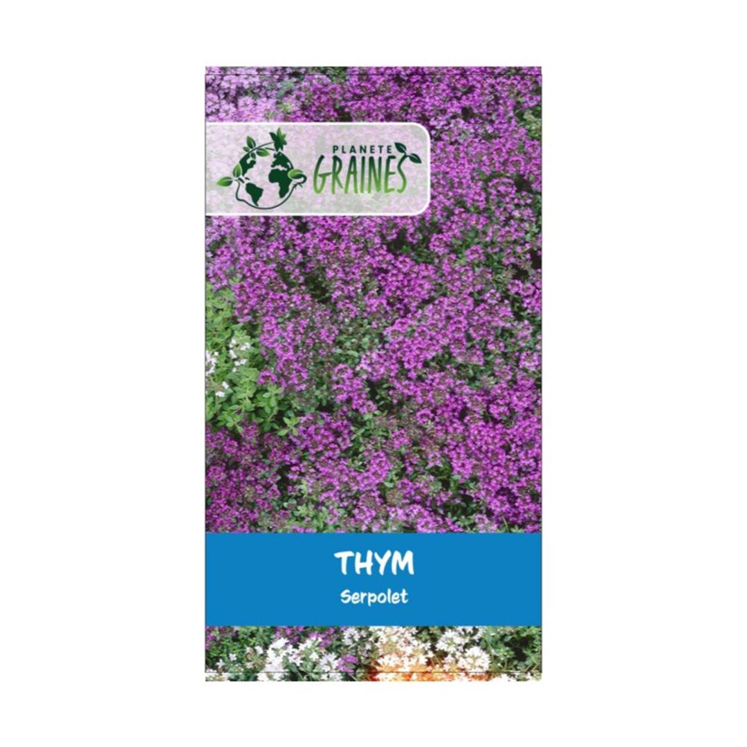 Lot de 100/200/1000 Graines de Thym Serpolet - Thymus serpyllum - Etsy ...