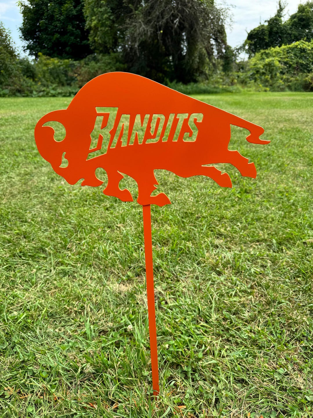 Bandits in Buffalo Garden Stake - Etsy