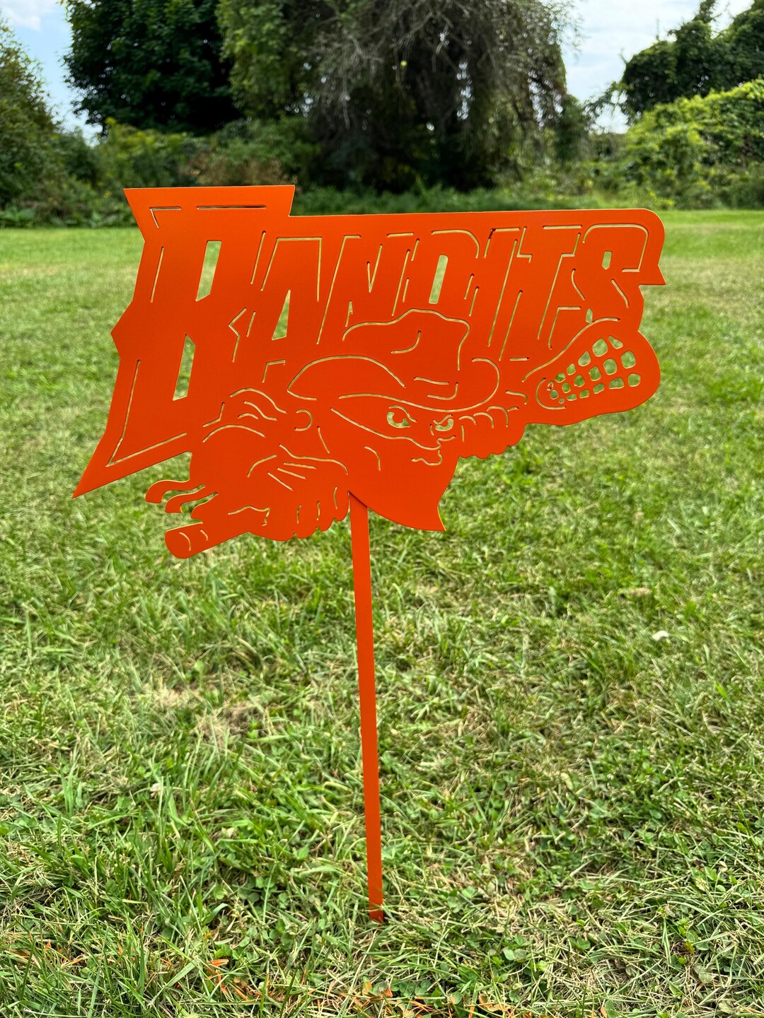 Buffalo Bandits Logo Garden Stake - Etsy