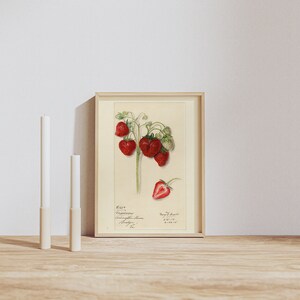 Strawberry Poster Watercolor Poster Aesthetic Poster Bedroom Decor - Etsy