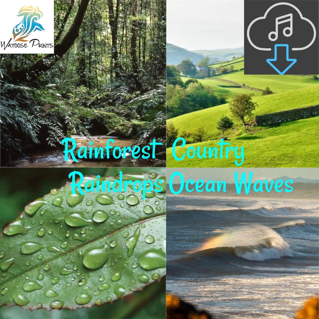 Nature Sounds Ocean Waves, Rain Raindrops, Country Birds, Rainforest ...
