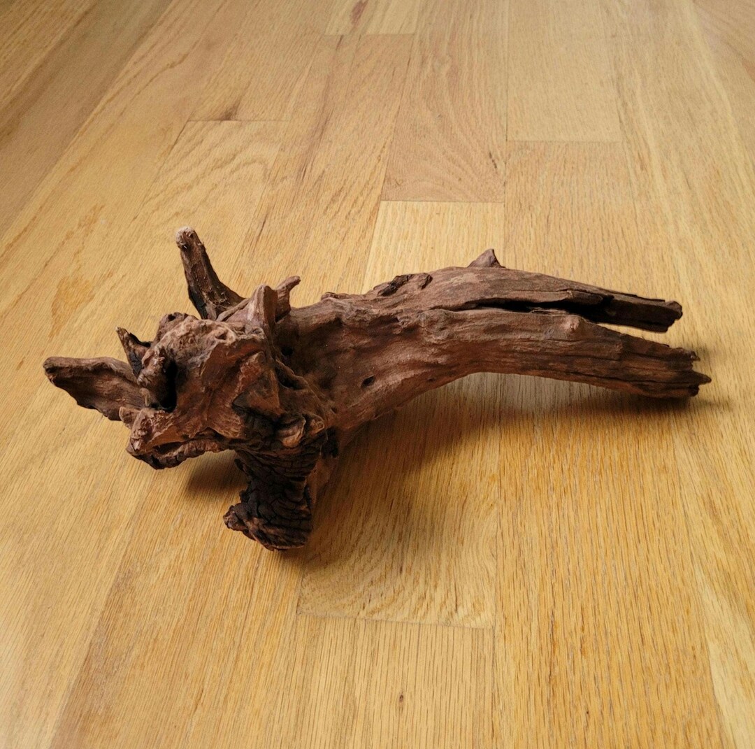 13" Authentic Natural Drift Wood Piece. Sculpture From Nature. Unique ...