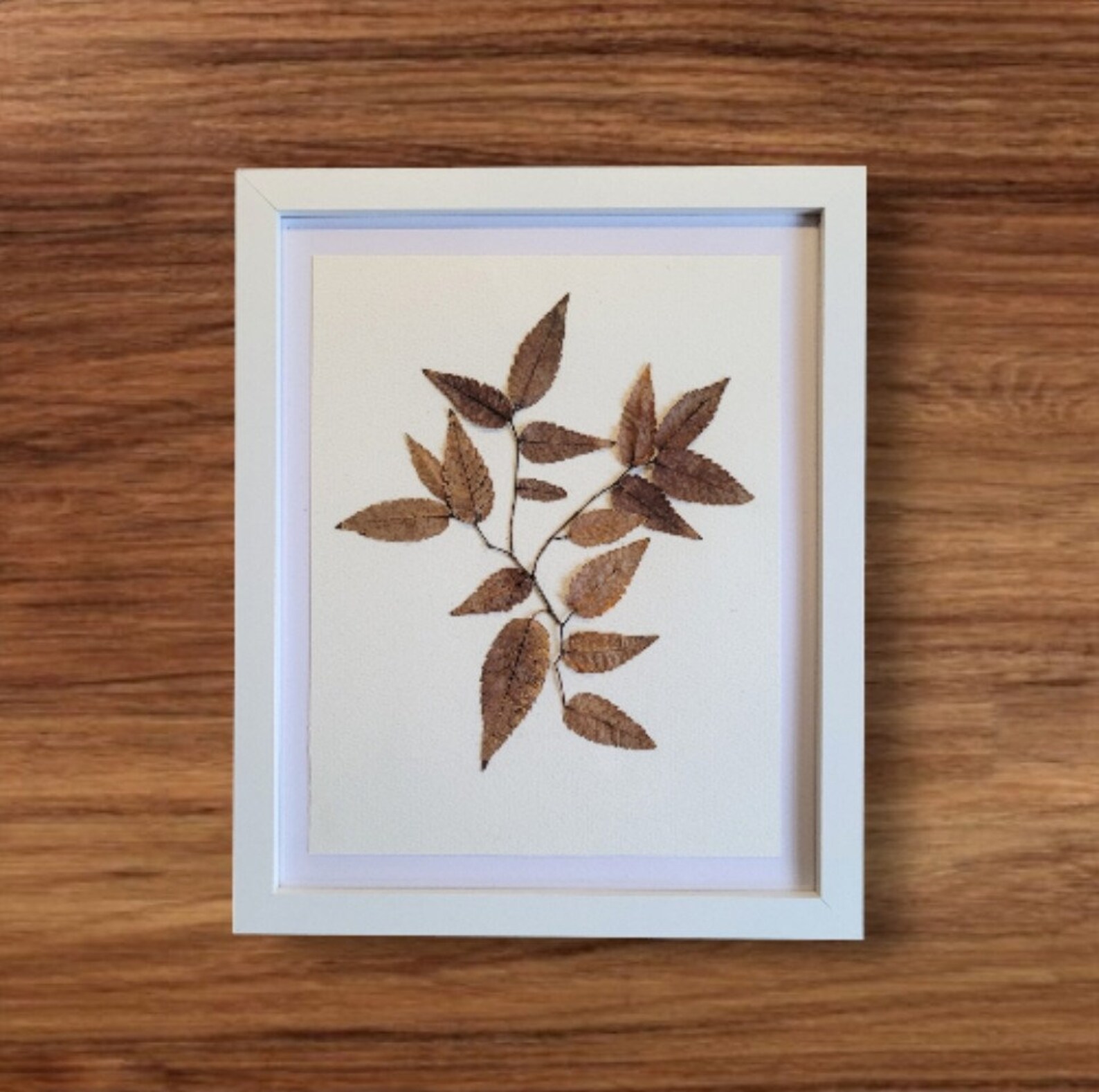 Real Brown Branches of Leaves in the Fall. Dried Pressed. Wall Art ...