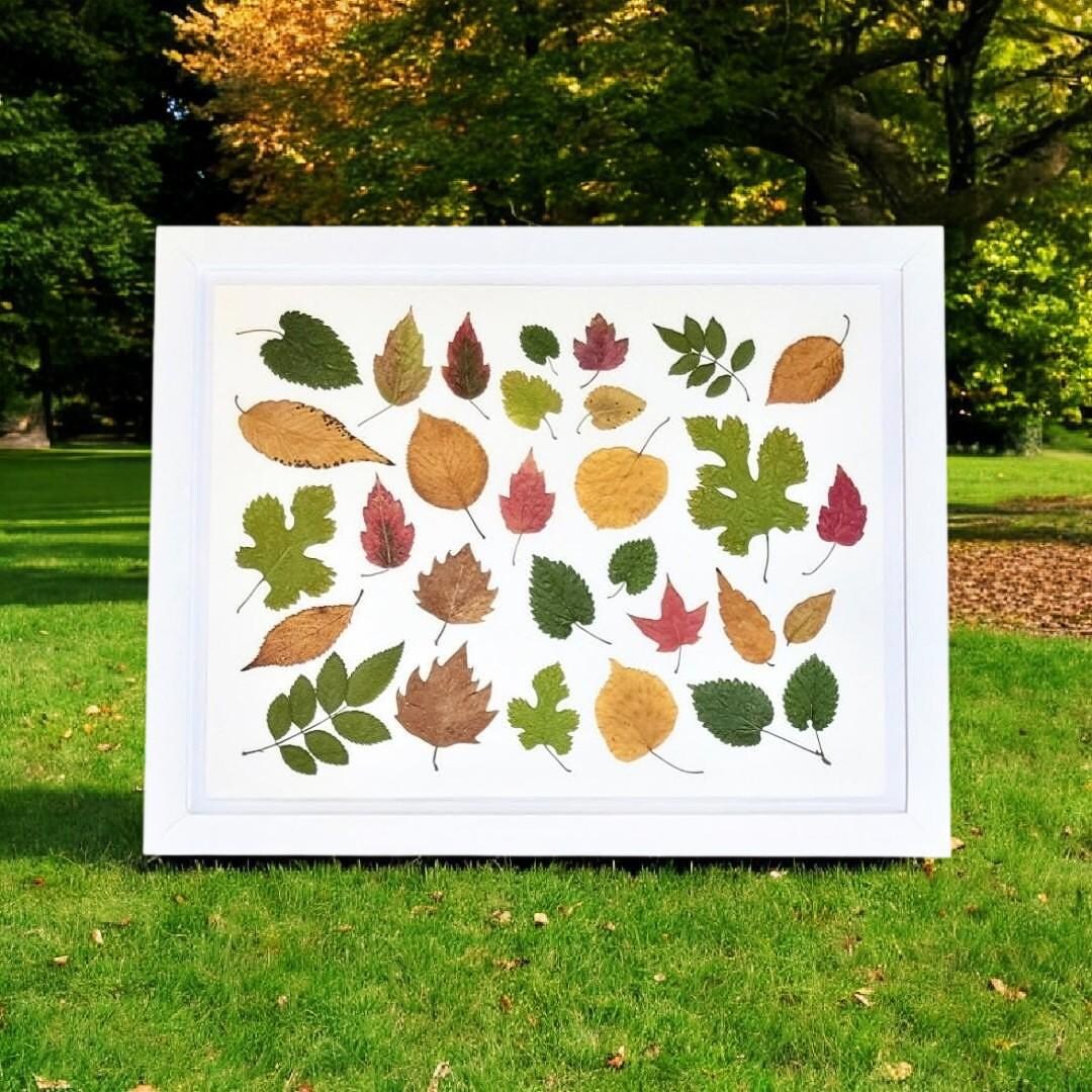 Pressed Leaf Framed Art: Handmade Botanical Wall Decor. Unique Piece ...
