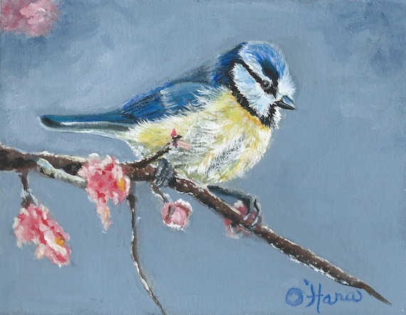 Blue Titmouse Bird in the Early Spring Blossoms Original 8 X | Etsy