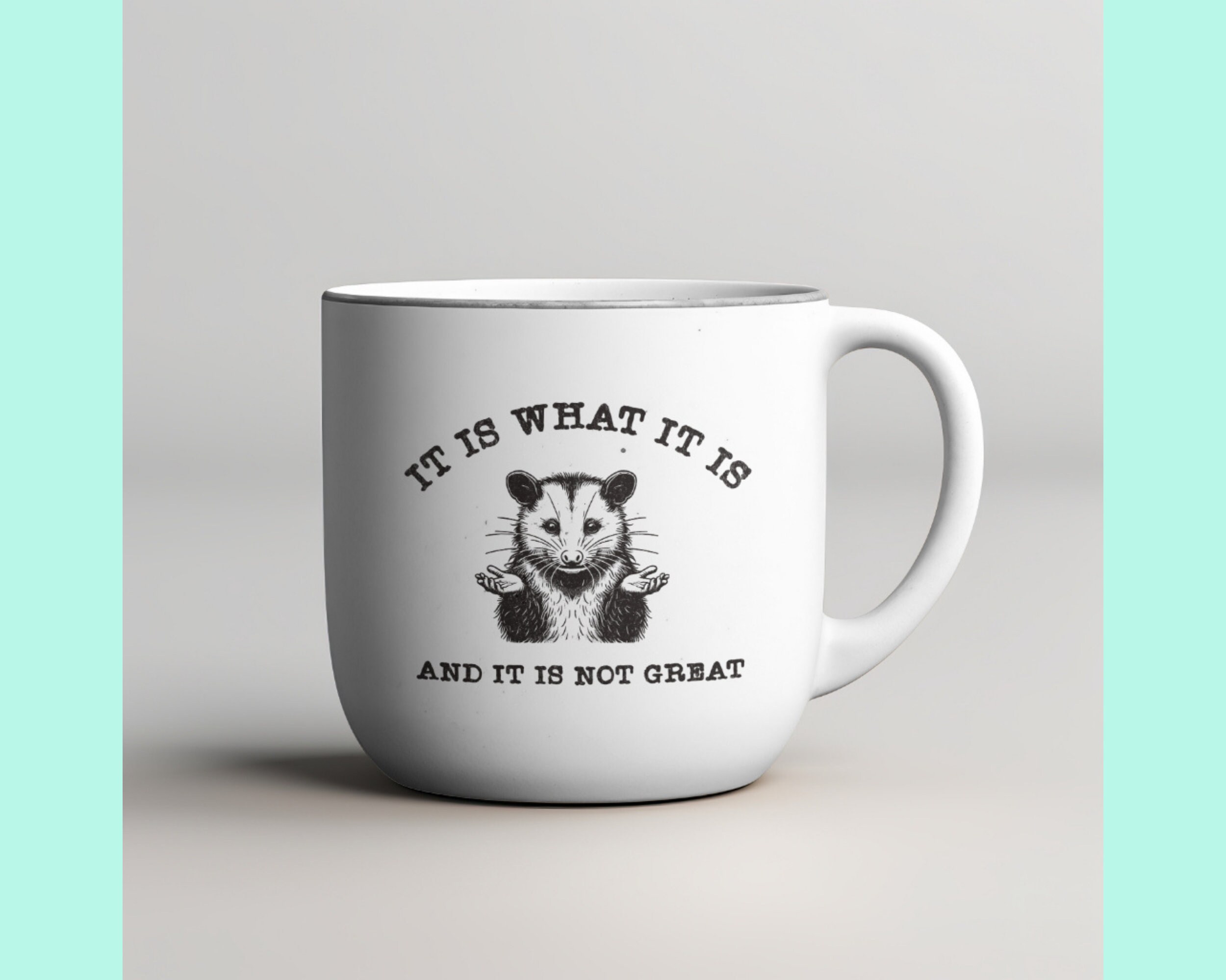 Possum It is What It is PNG, Funny Retro Meme Graphic Printable, POD ...