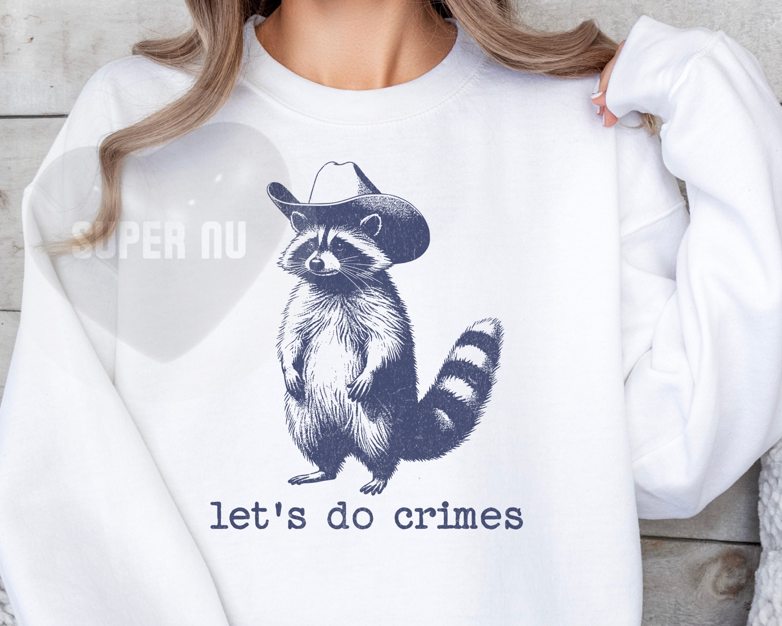 Let's Do Crimes Raccoon PNG, Funny Retro Meme Graphic Printable, POD ...