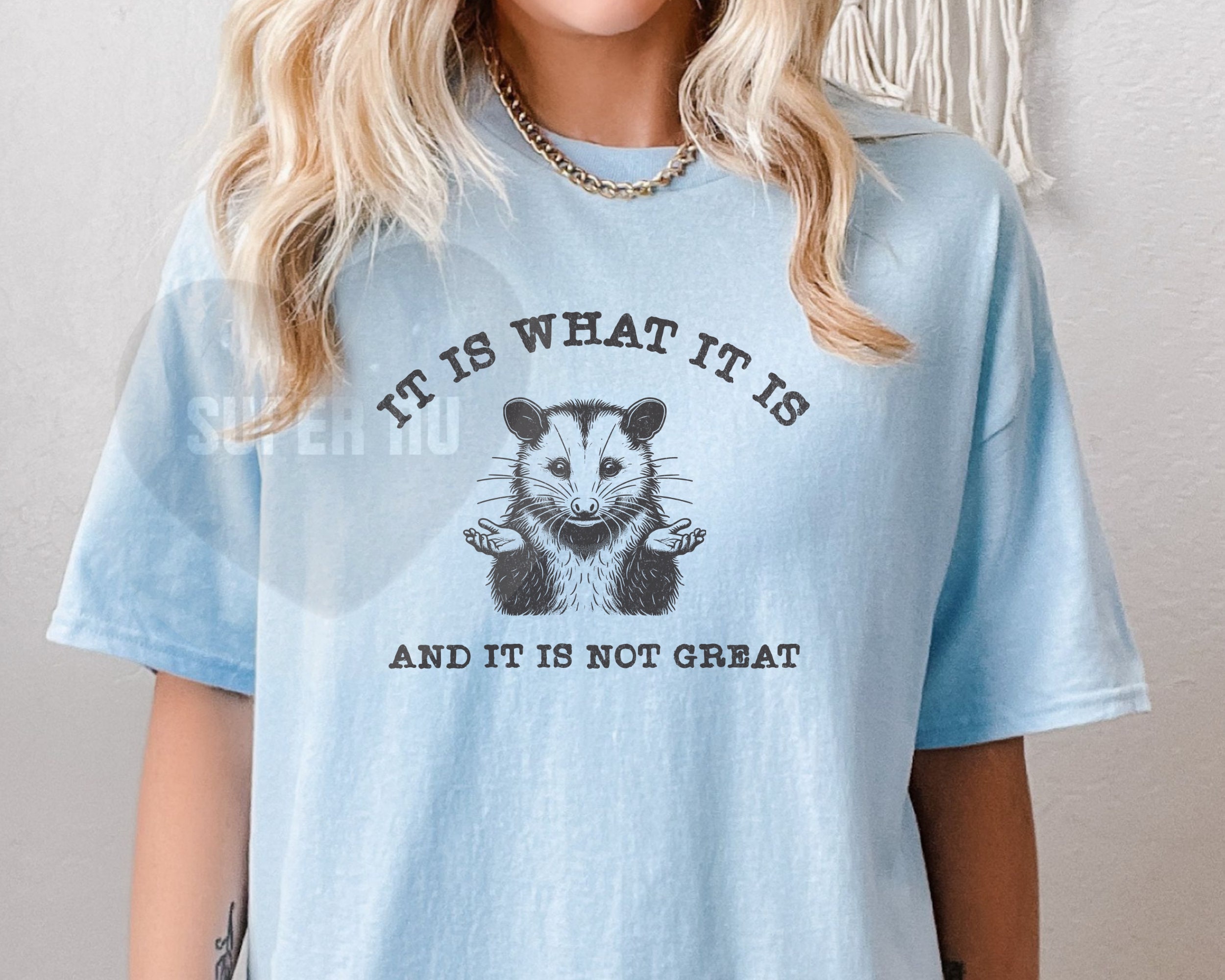 Possum It is What It is PNG, Funny Retro Meme Graphic Printable, POD ...