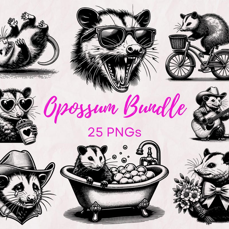 Opossum Drawing - Etsy