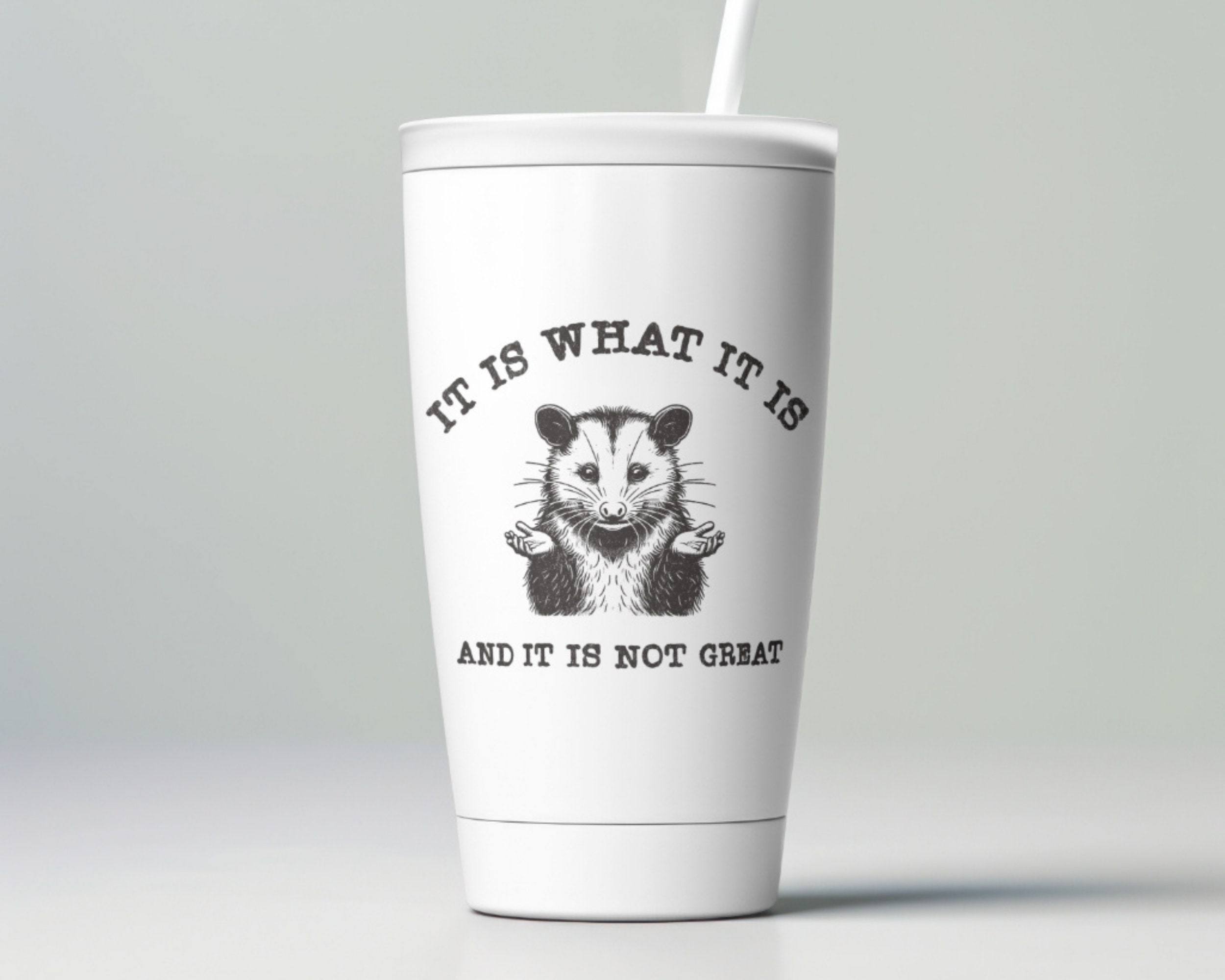 Possum It is What It is PNG, Funny Retro Meme Graphic Printable, POD ...