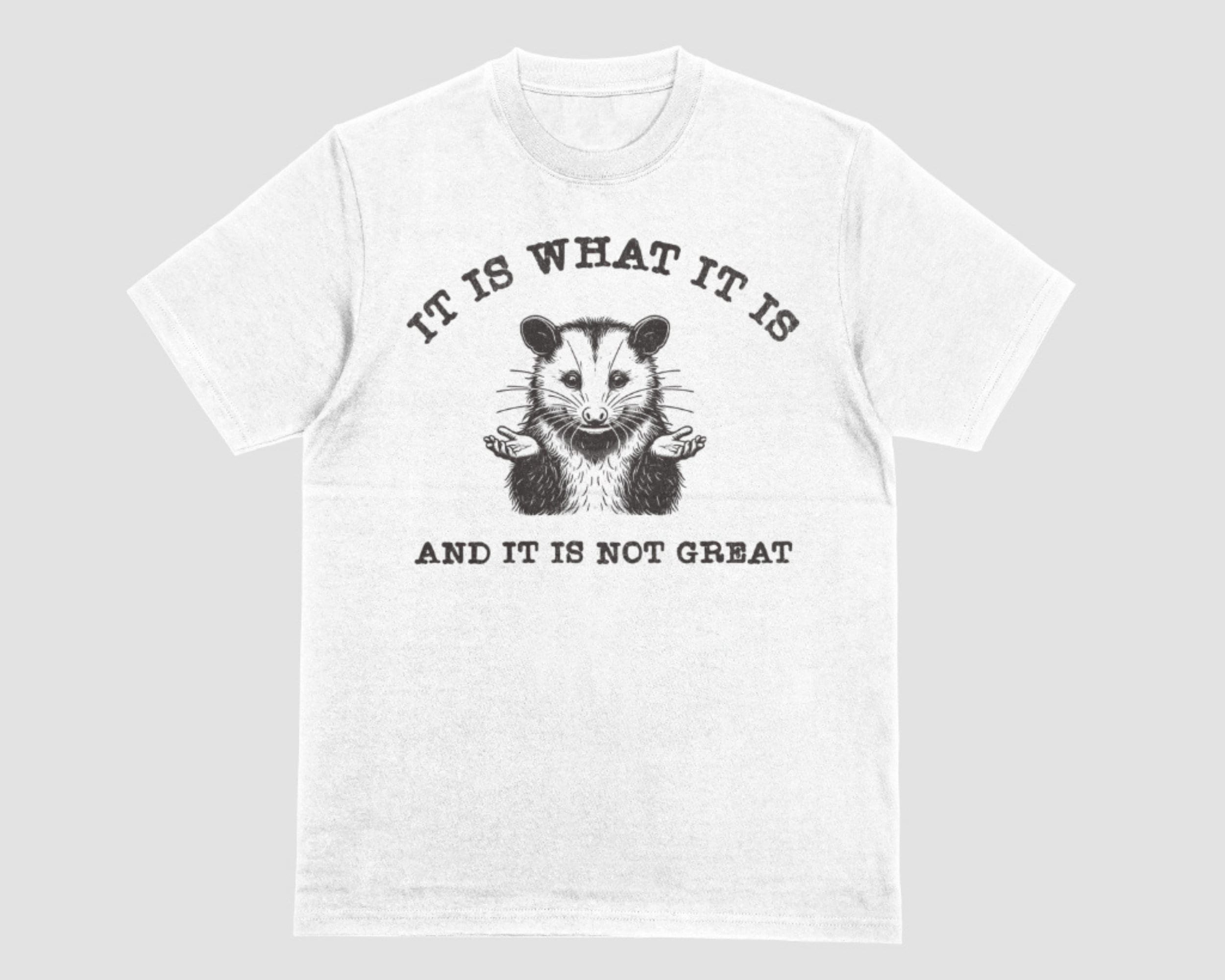 Possum It is What It is PNG, Funny Retro Meme Graphic Printable, POD ...