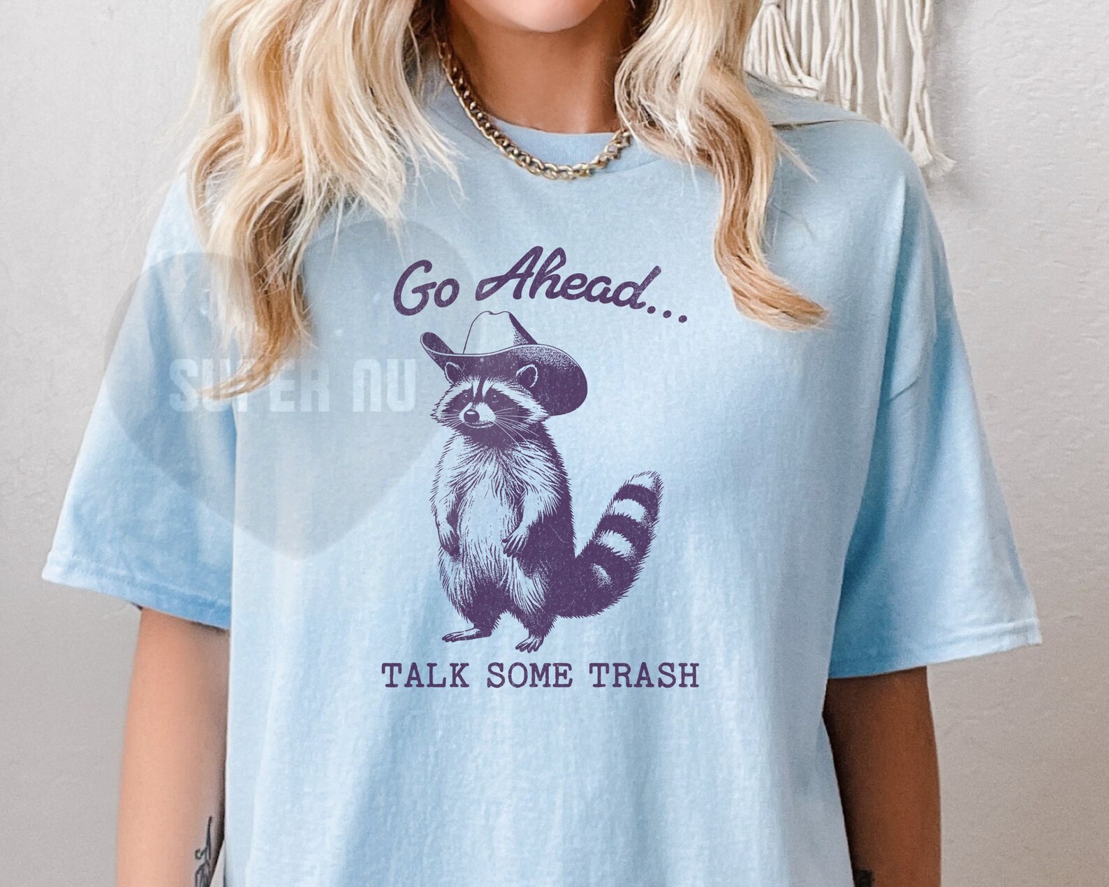 Go Ahead Talk Some Trash Raccoon PNG, Funny Retro Meme Graphic ...