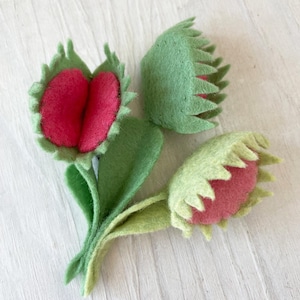 Felt Carnivorous Plants Sewing Pattern PDF Download, Felt Plants ...