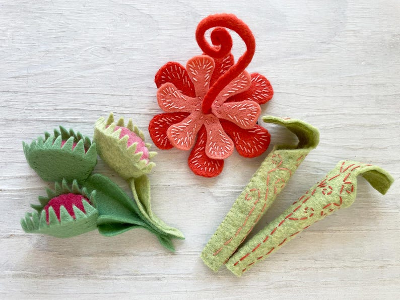 Felt Carnivorous Plants Sewing Pattern PDF Download, Felt Plants ...