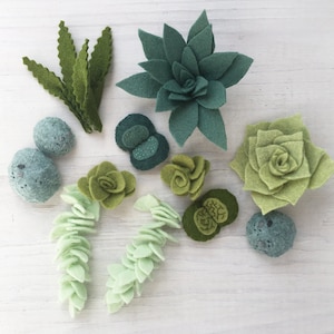 Felt Succulents Cactus Sewing Pattern PDF Download, Felt Plants ...
