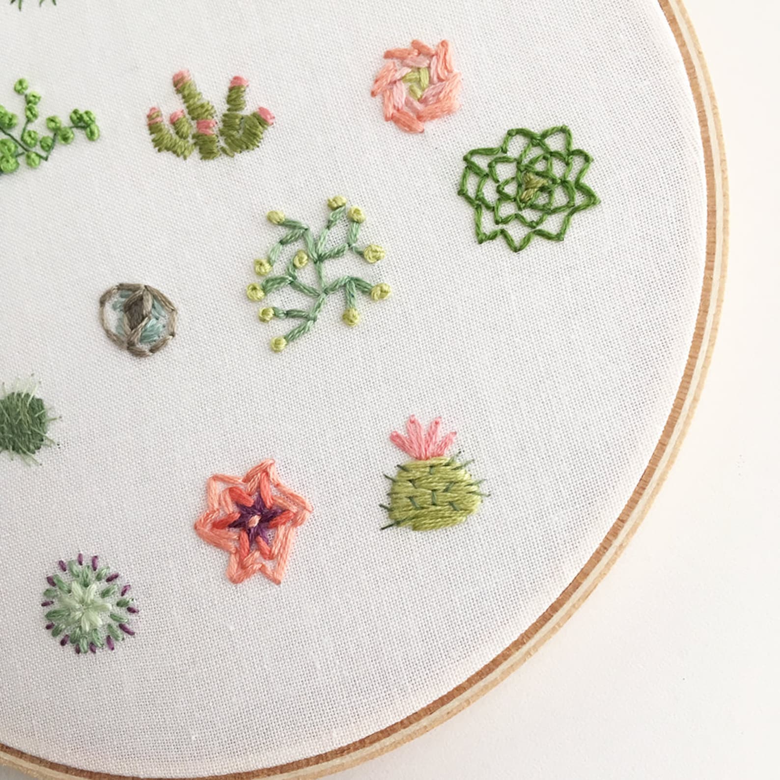 Tiny Succulents Hand Embroidery Pattern PDF Download, Embroidery Hoop ...