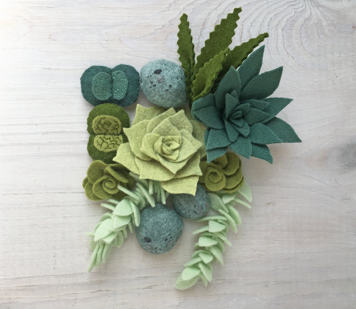 Felt Succulents Cactus Sewing Pattern PDF Download Felt - Etsy