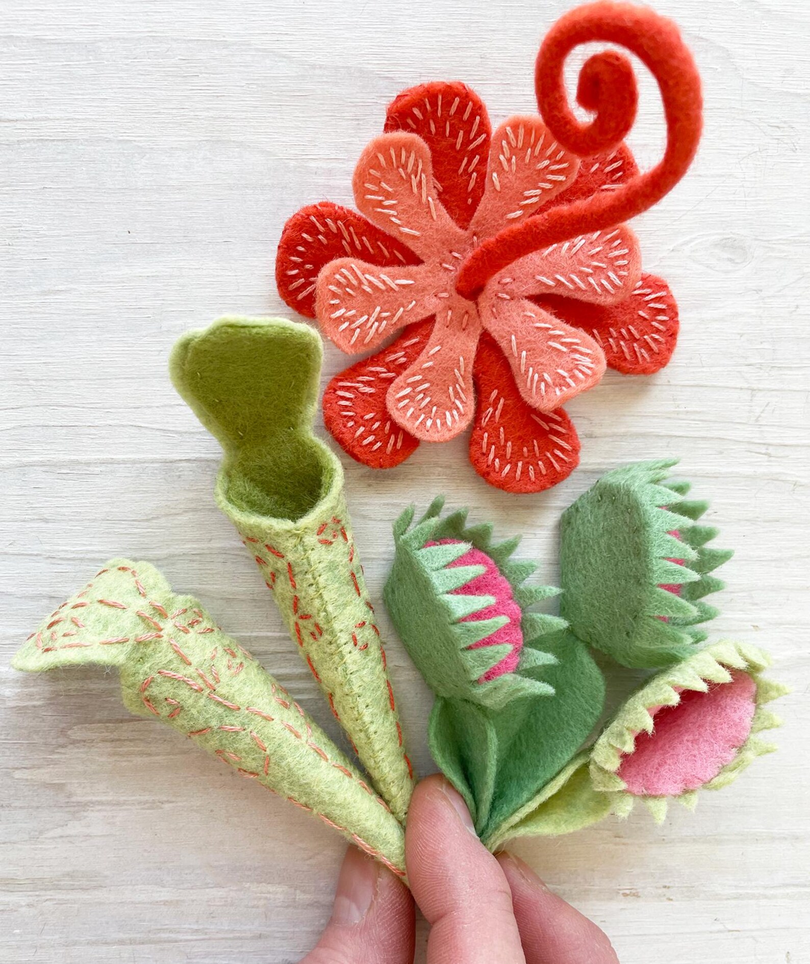 Felt Carnivorous Plants Sewing Pattern PDF Download, Felt Plants ...