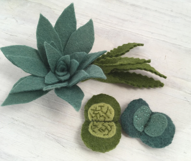 Felt Succulents Cactus Sewing Pattern PDF Download Felt - Etsy