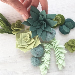 Felt Succulents Cactus Sewing Pattern PDF Download, Felt Plants ...