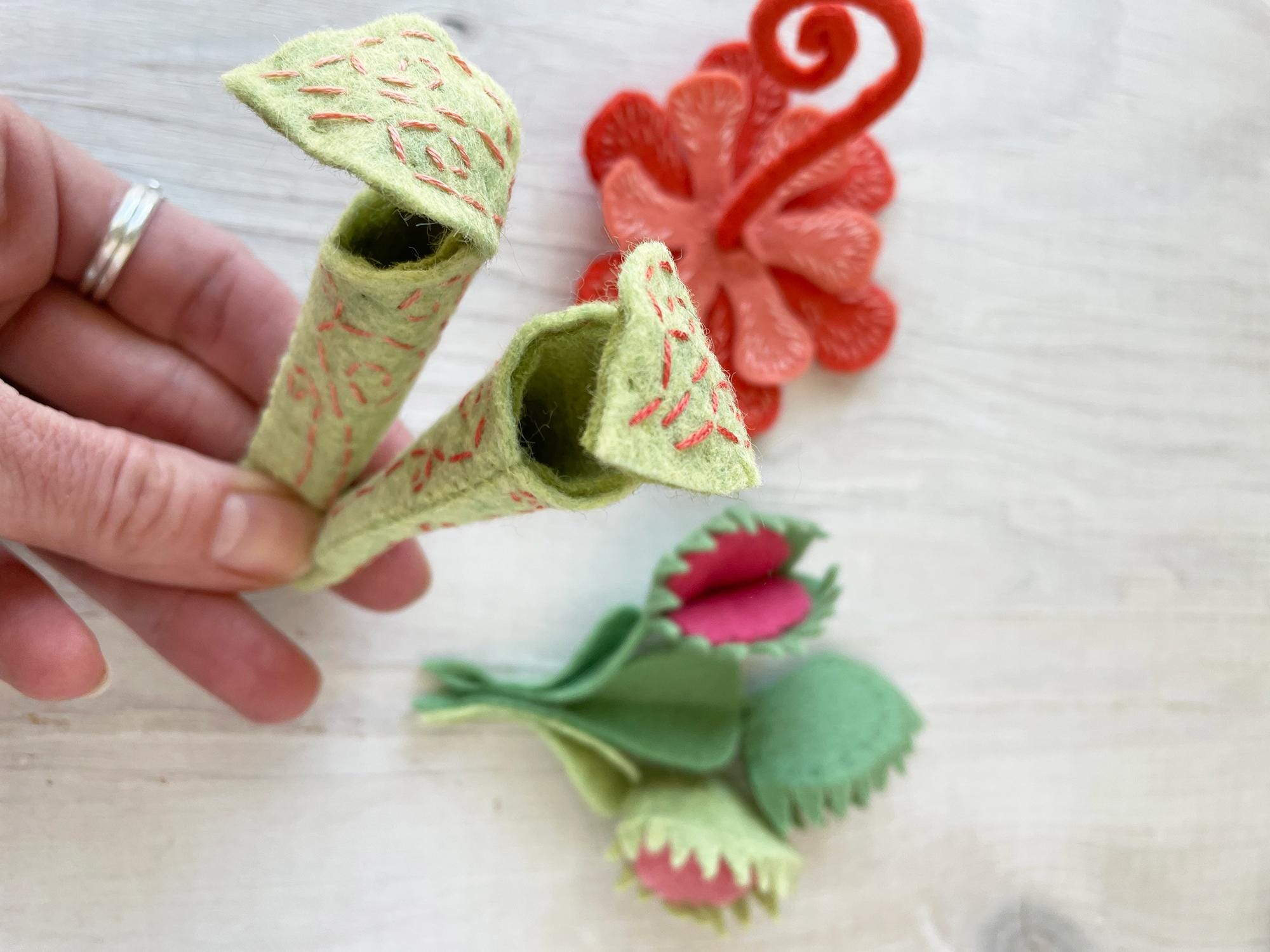 Felt Carnivorous Plants Sewing Pattern PDF Download, Felt Plants ...