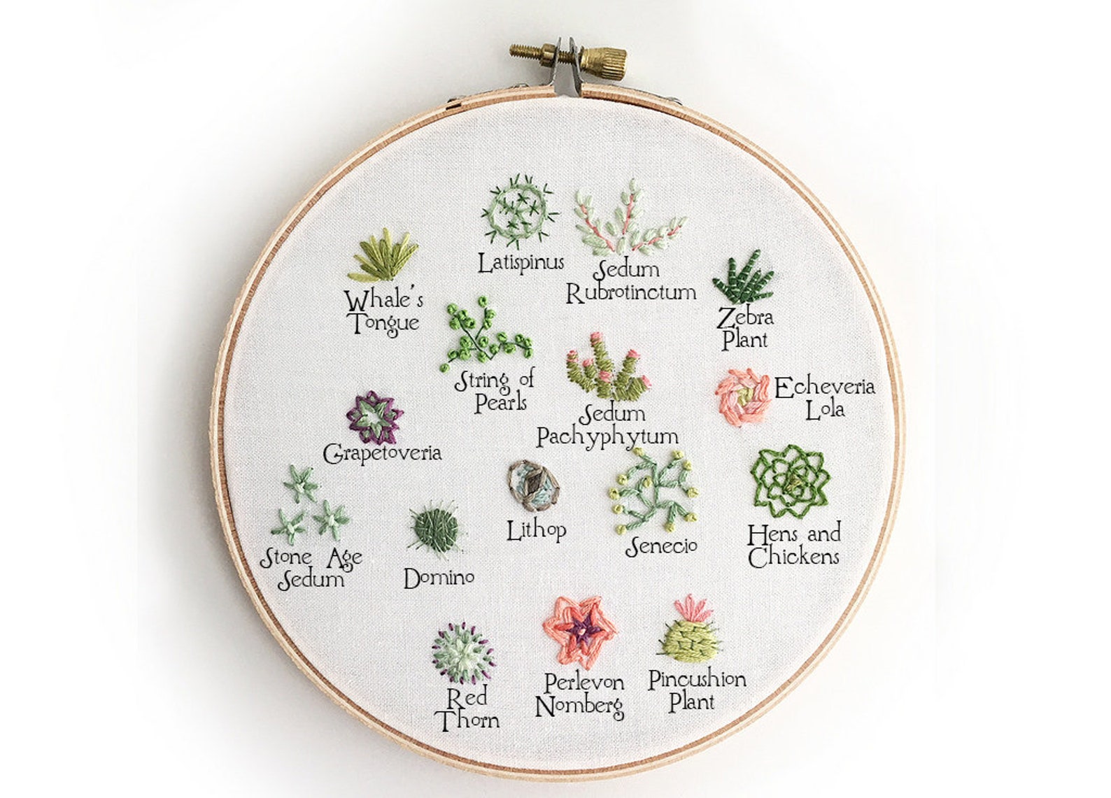 Tiny Succulents Hand Embroidery Pattern PDF Download, Embroidery Hoop ...