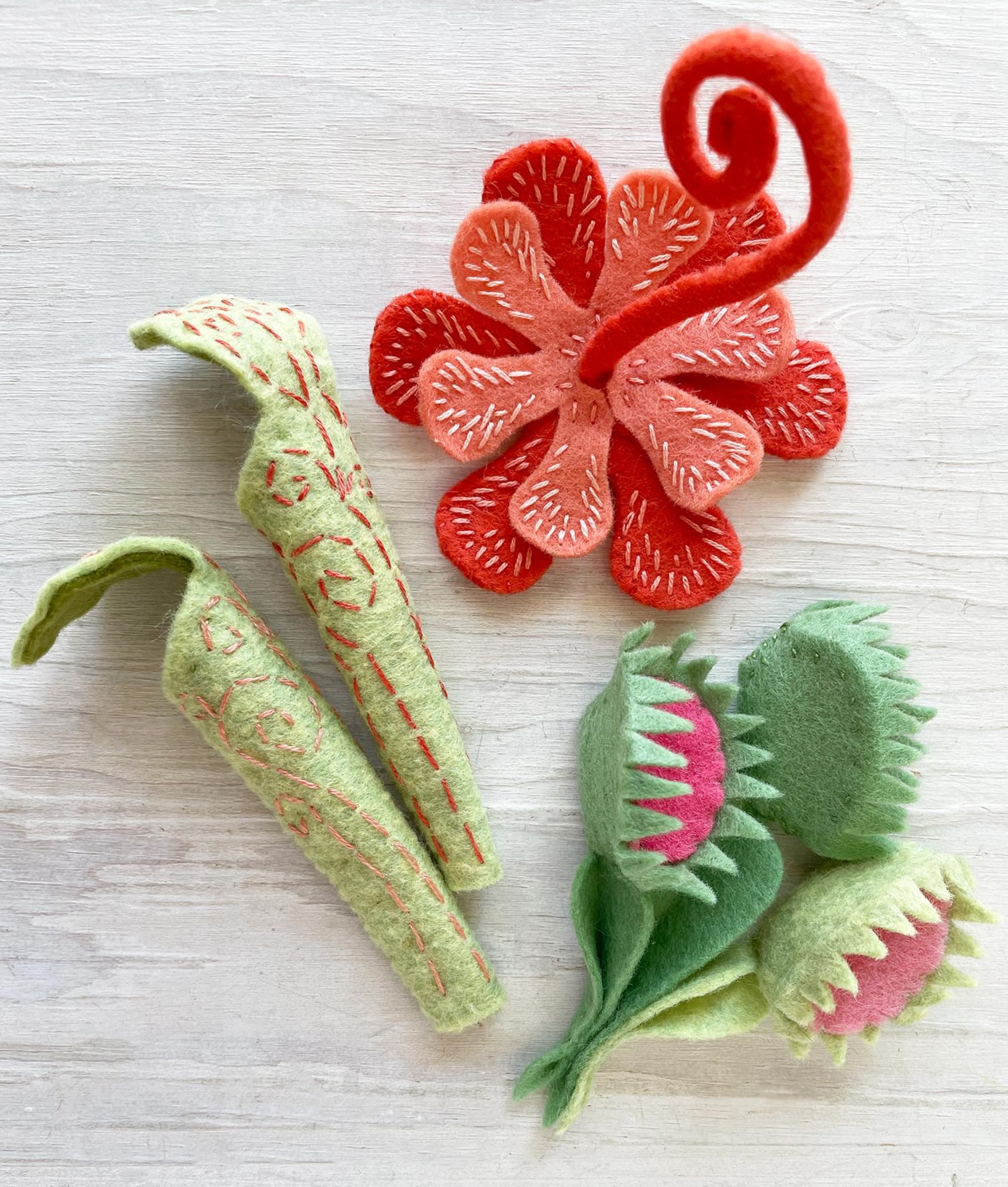 Felt Carnivorous Plants Sewing Pattern PDF Download, Felt Plants ...