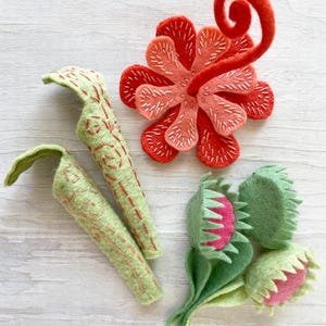 Felt Carnivorous Plants Sewing Pattern PDF Download, Felt Plants ...