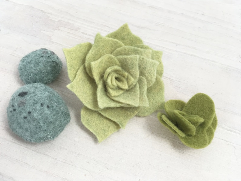 Felt Succulents Cactus Sewing Pattern PDF Download Felt - Etsy