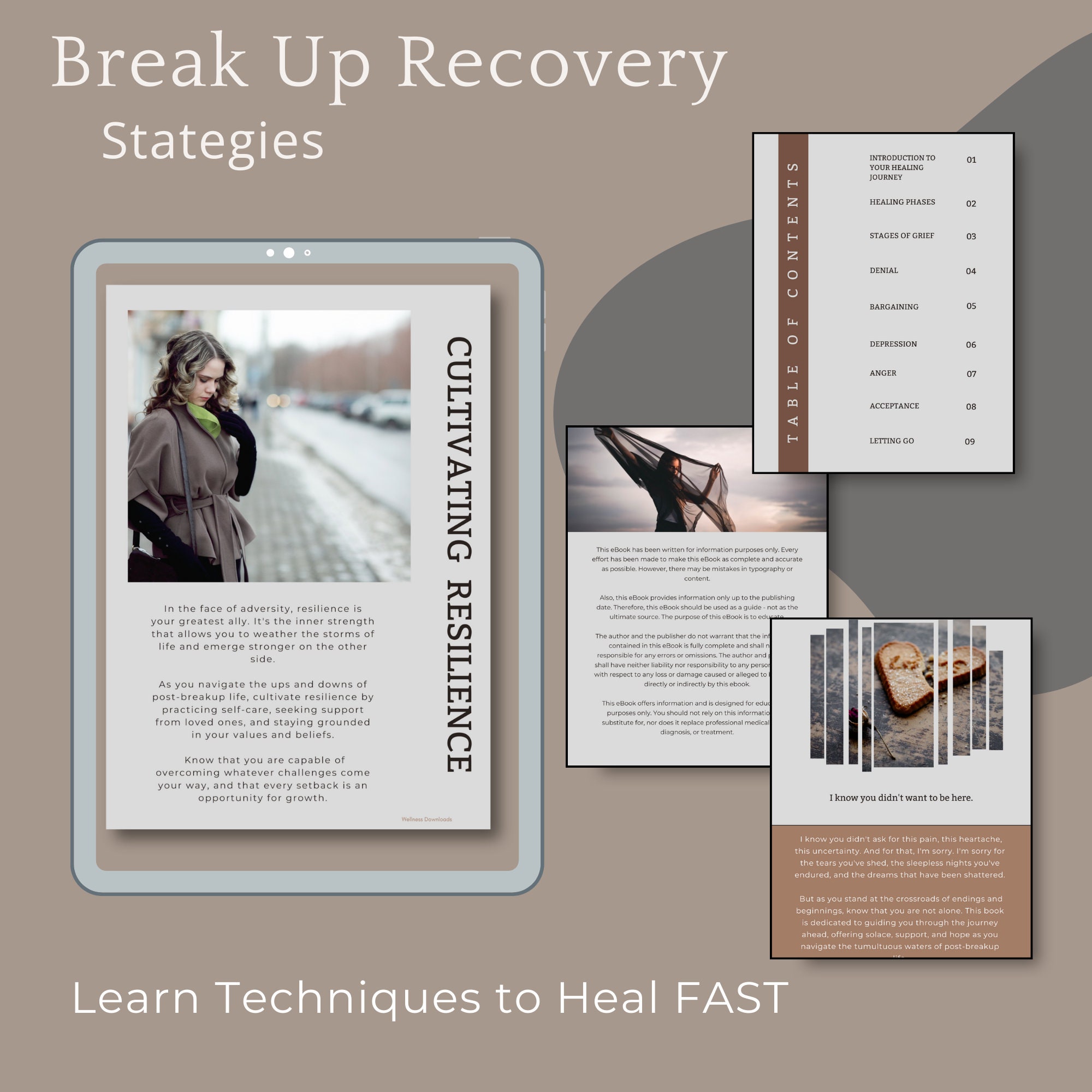 Healing Breakup Recovery Ebook Guidebook MRR PLR Manifest Canva ...