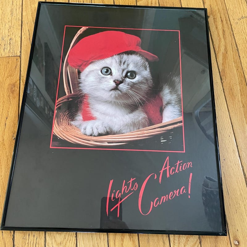 Lights Camera Action - Etsy