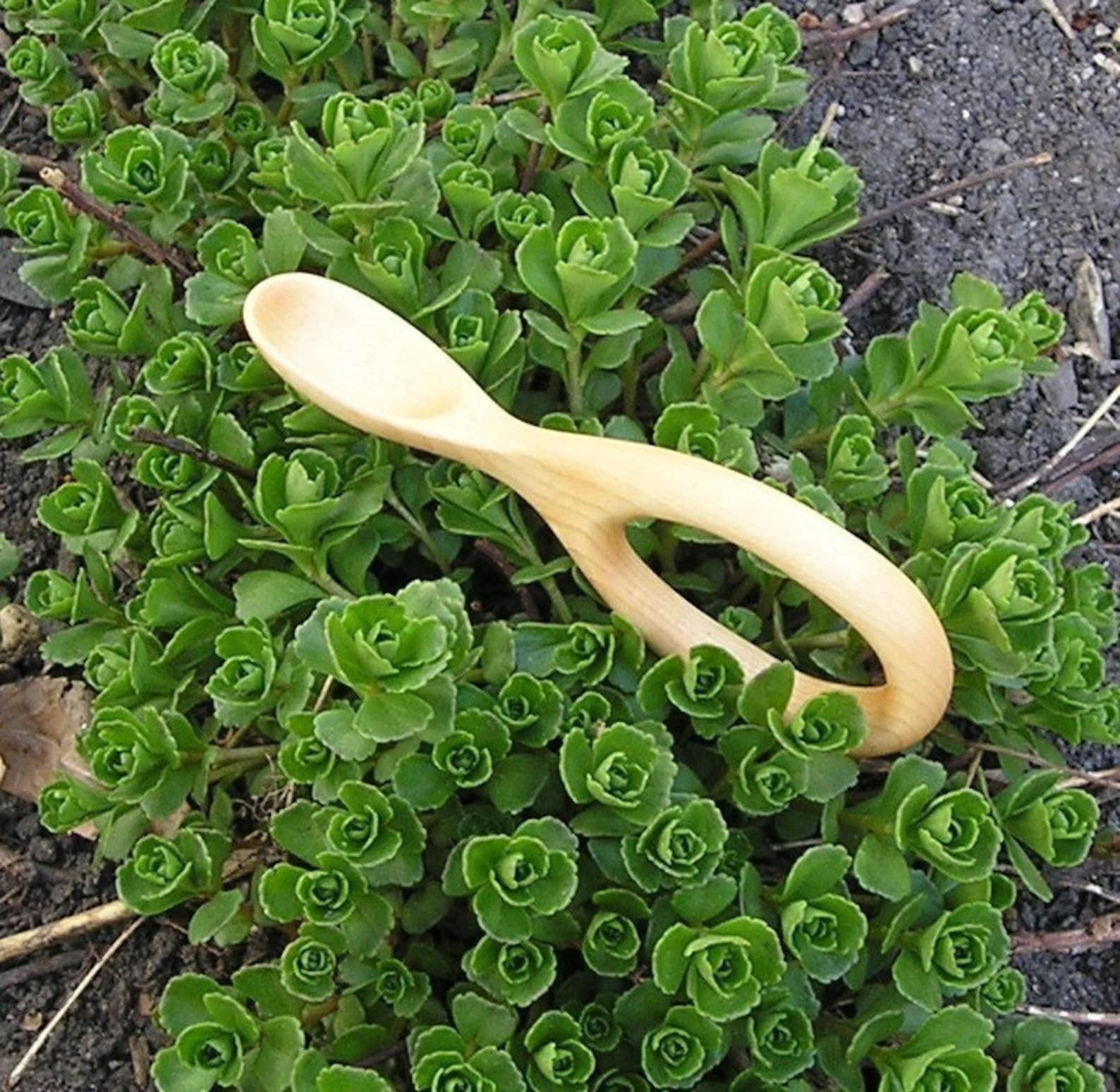 Natural Wooden Baby Spoon (hand Carved Maple) - Etsy