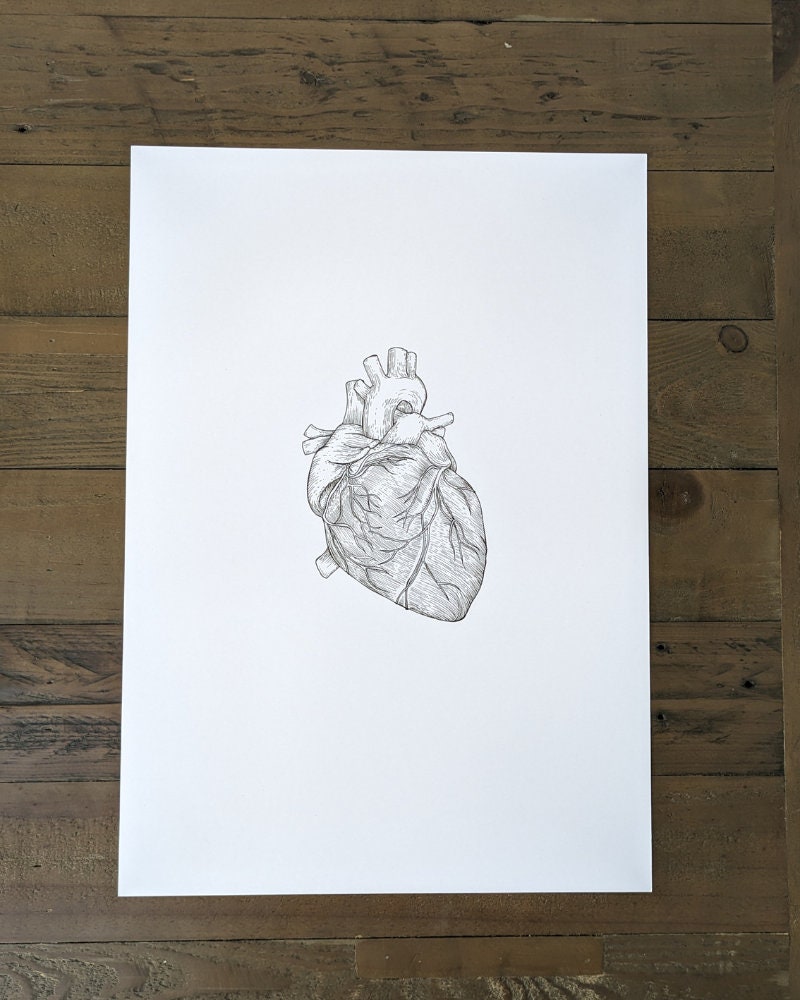 Anatomical Heart Print - Detailed Black Fine Liner Illustration ...