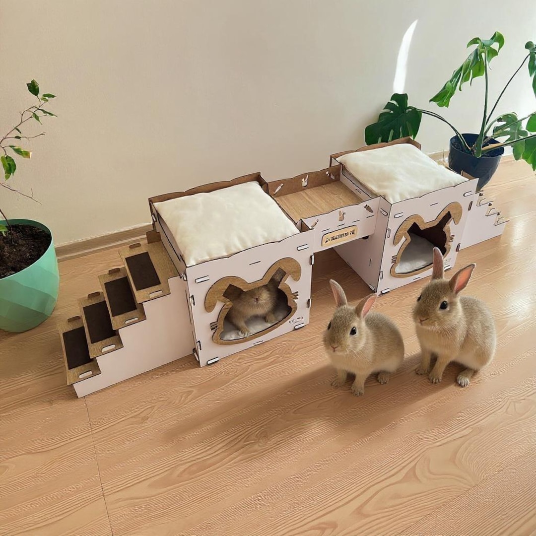 Two-story Wooden Rabbit House, Double Bunny House, Two Connected Wooden ...