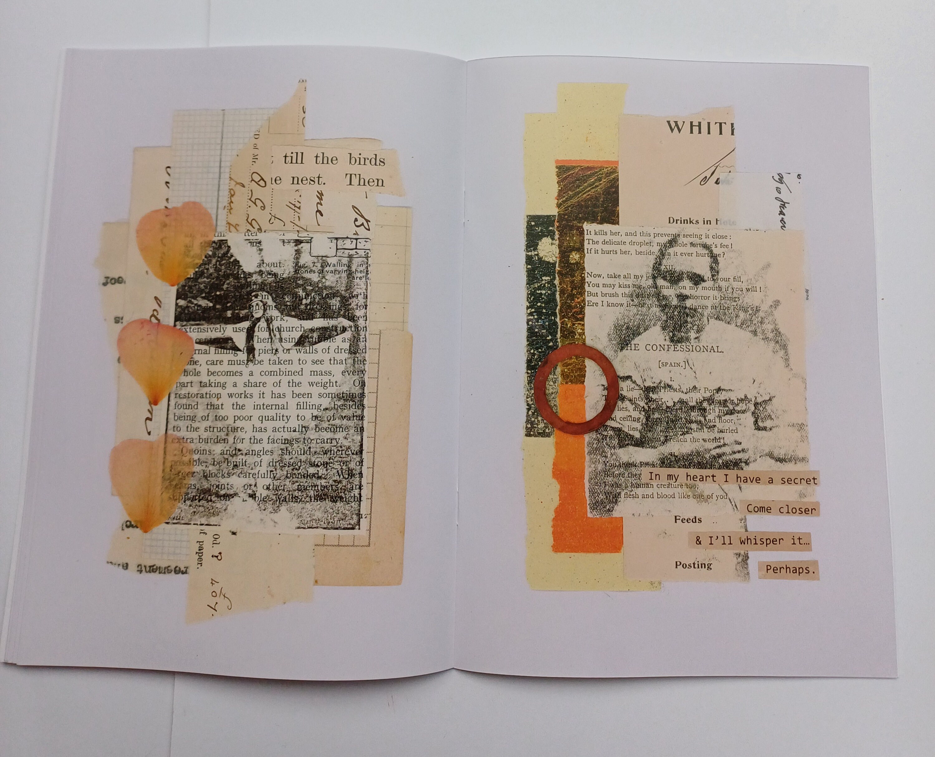 Zine, Art Zine, Collage, Poetry Zine, A5, 24 Pages - Etsy