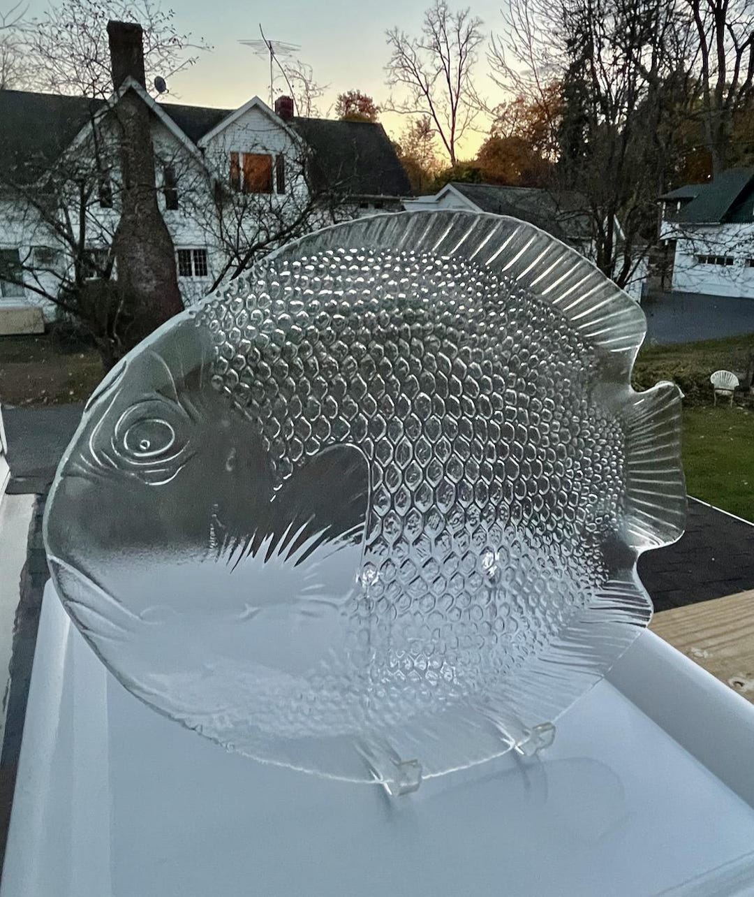 Vintage Arcoroc France, Large Glass Fish Platter 15.5 X 12 Serving Tray ...