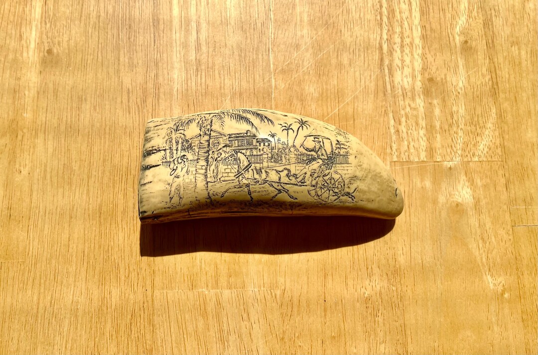 Vintage Scrimshaw, Nantucket, Nassau Bahamas, Harbor Scenes, Resin ...