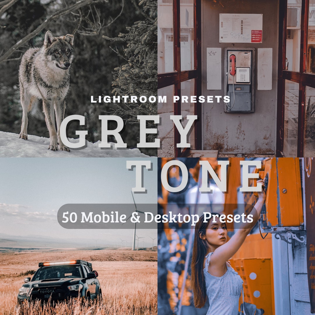 50 Moody Grey Presets Bundle Desktop & Mobile Editing, Instant Download ...