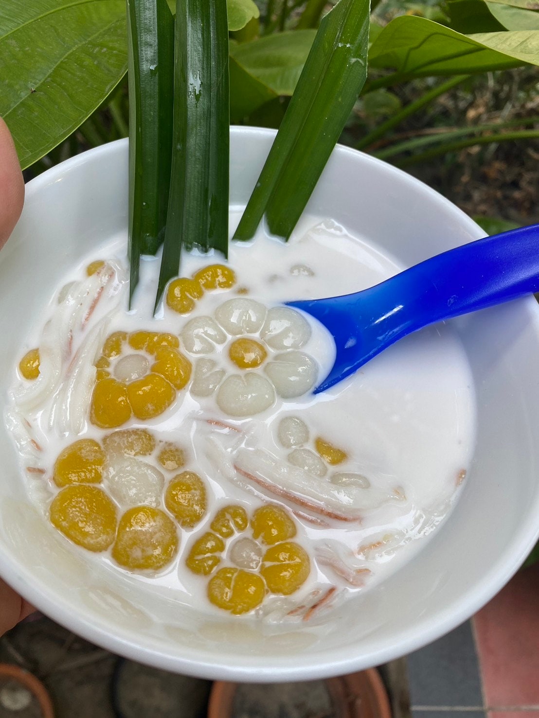 Bua Loi Thai Dessert Kit: DIY Vegan Cooking, Family Activity - Etsy
