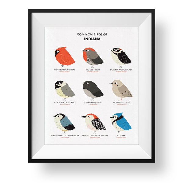 Bird Print - Etsy